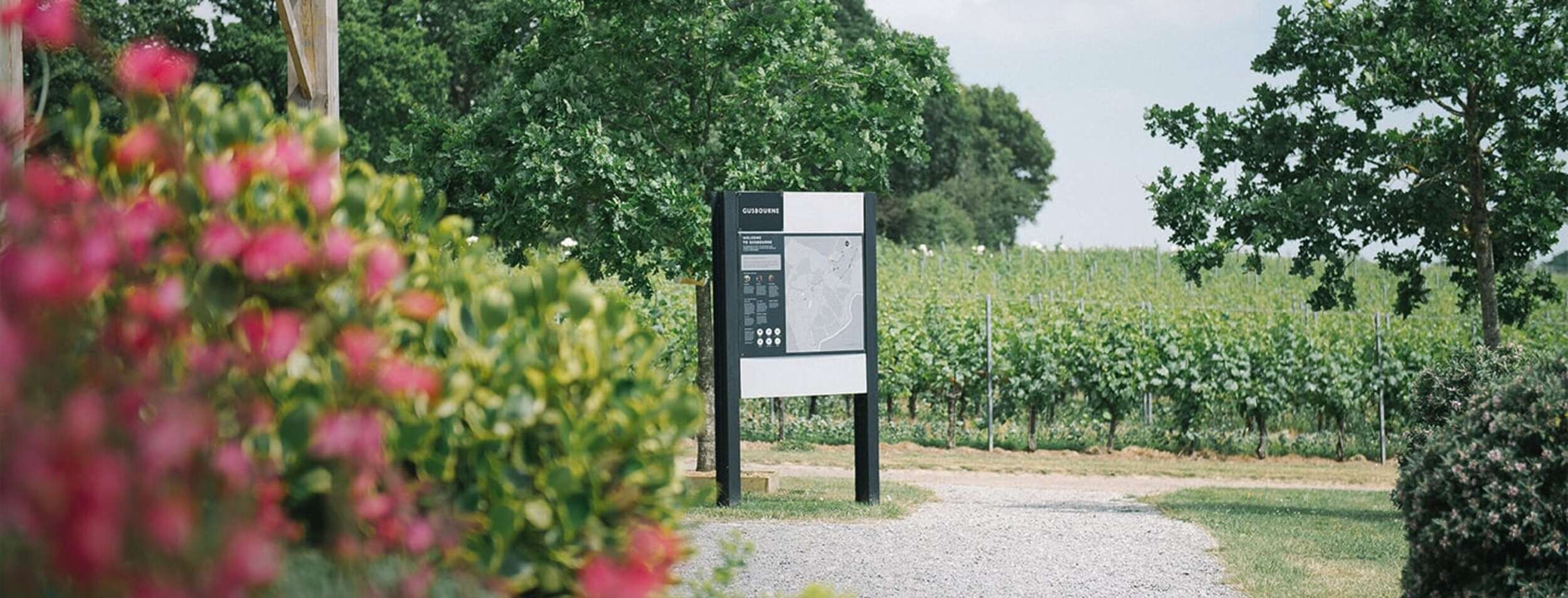 Welcome to The Nest | Gusbourne Fine English Wines