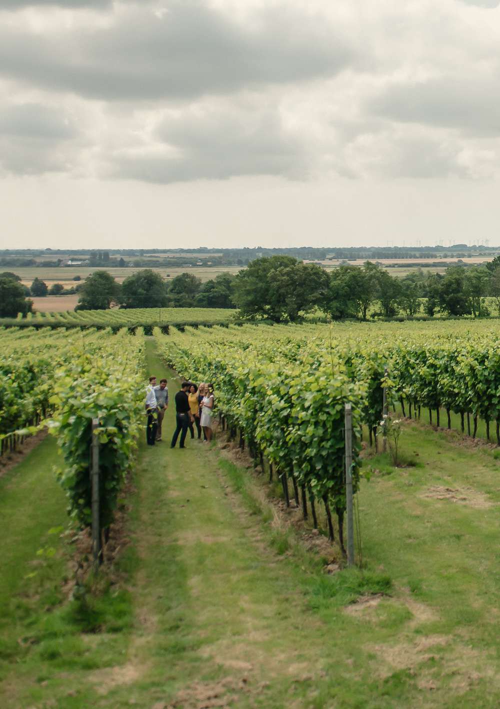 Tours and tastings | The Nest | Gusbourne Fine English Wines