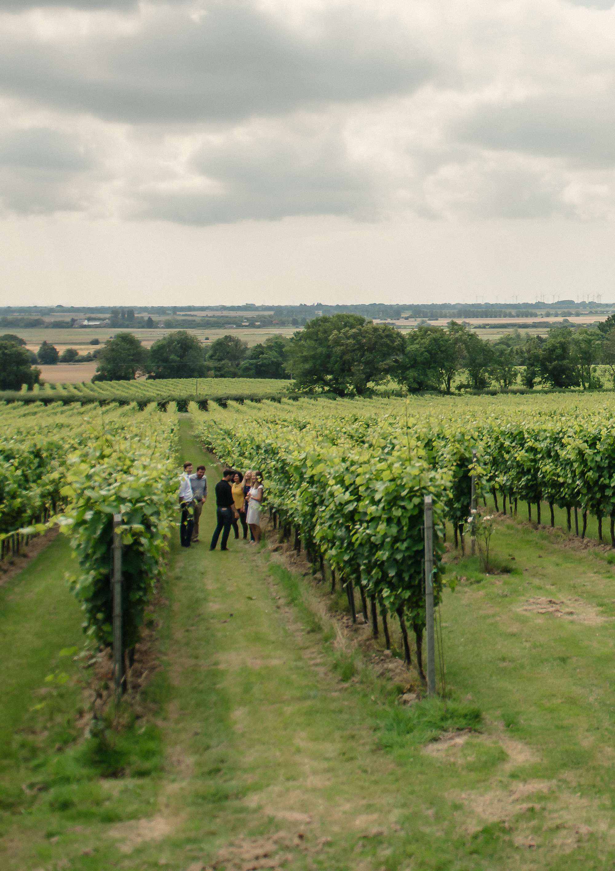 Tours and tastings | The Nest | Gusbourne Fine English Wines